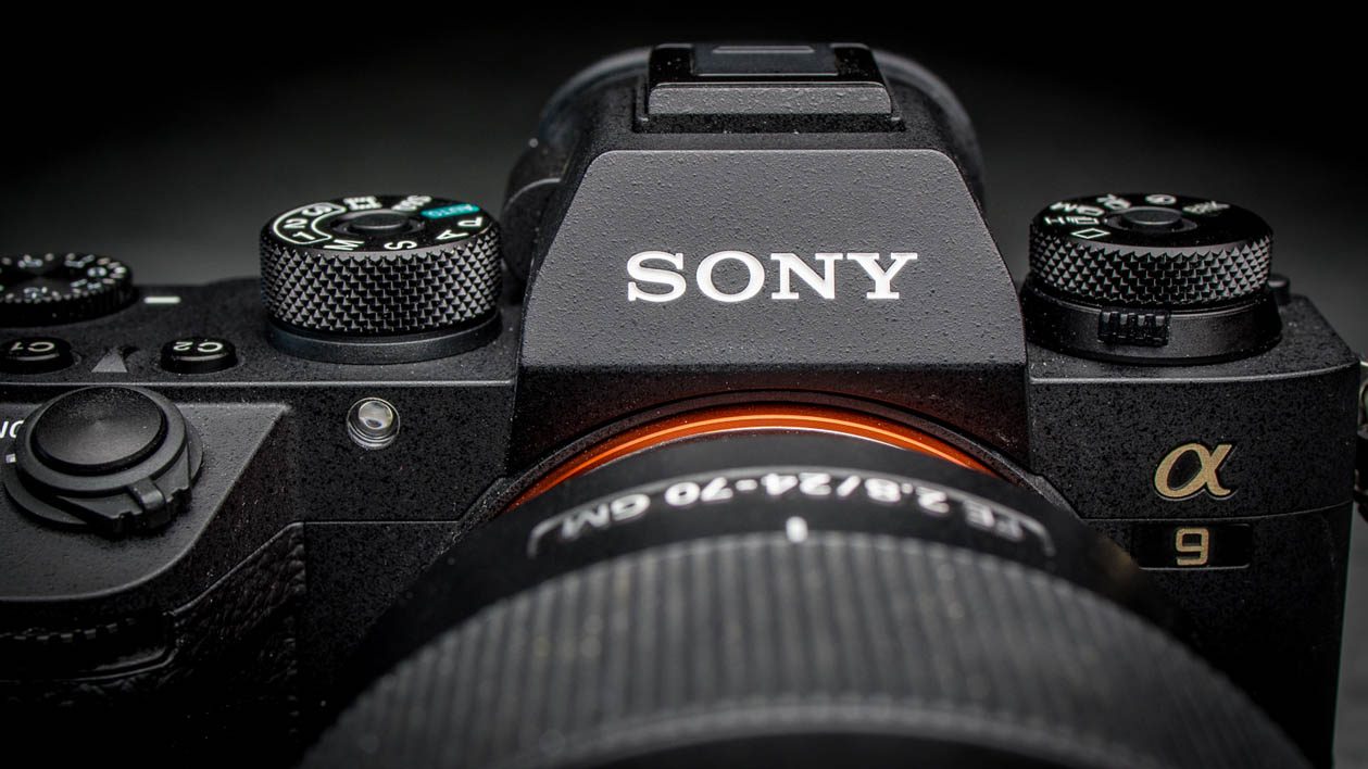 Sony Alpha A9 vs. オリンパス OM-D E-M1 Mark III